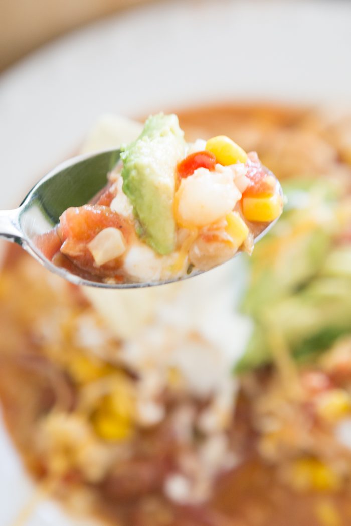 Quick and Easy Five Minute Tortilla Soup Recipe| CC and Mike | Blog
